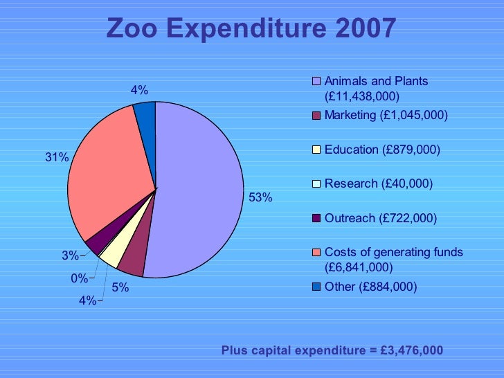 Marketing powerpoint Chester Zoo