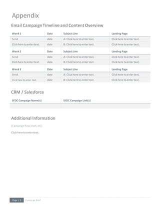Marketing campaign-brief | PDF