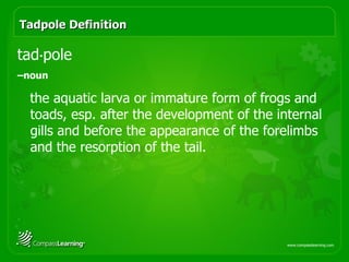 From Tadpole to Frog: Evolving into a Brand with Legs | PPT