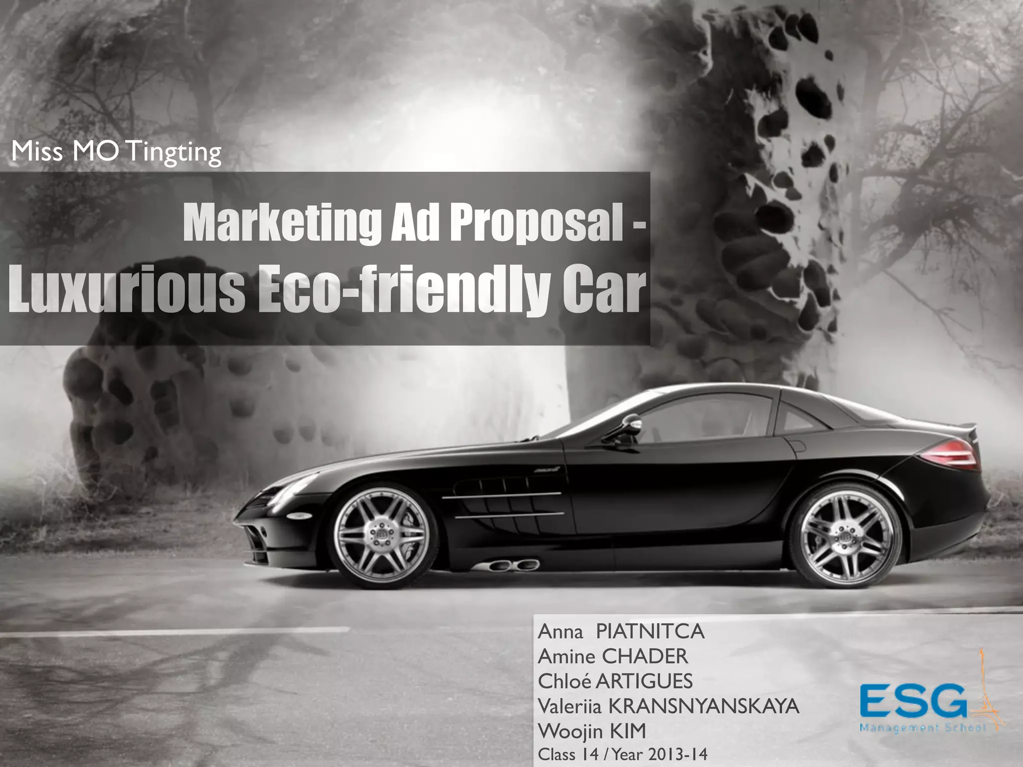 [Marketing] BMW Ad Proposal | PDF