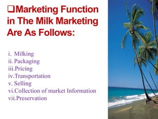 Marketing channel of milk by xabir | PPTX