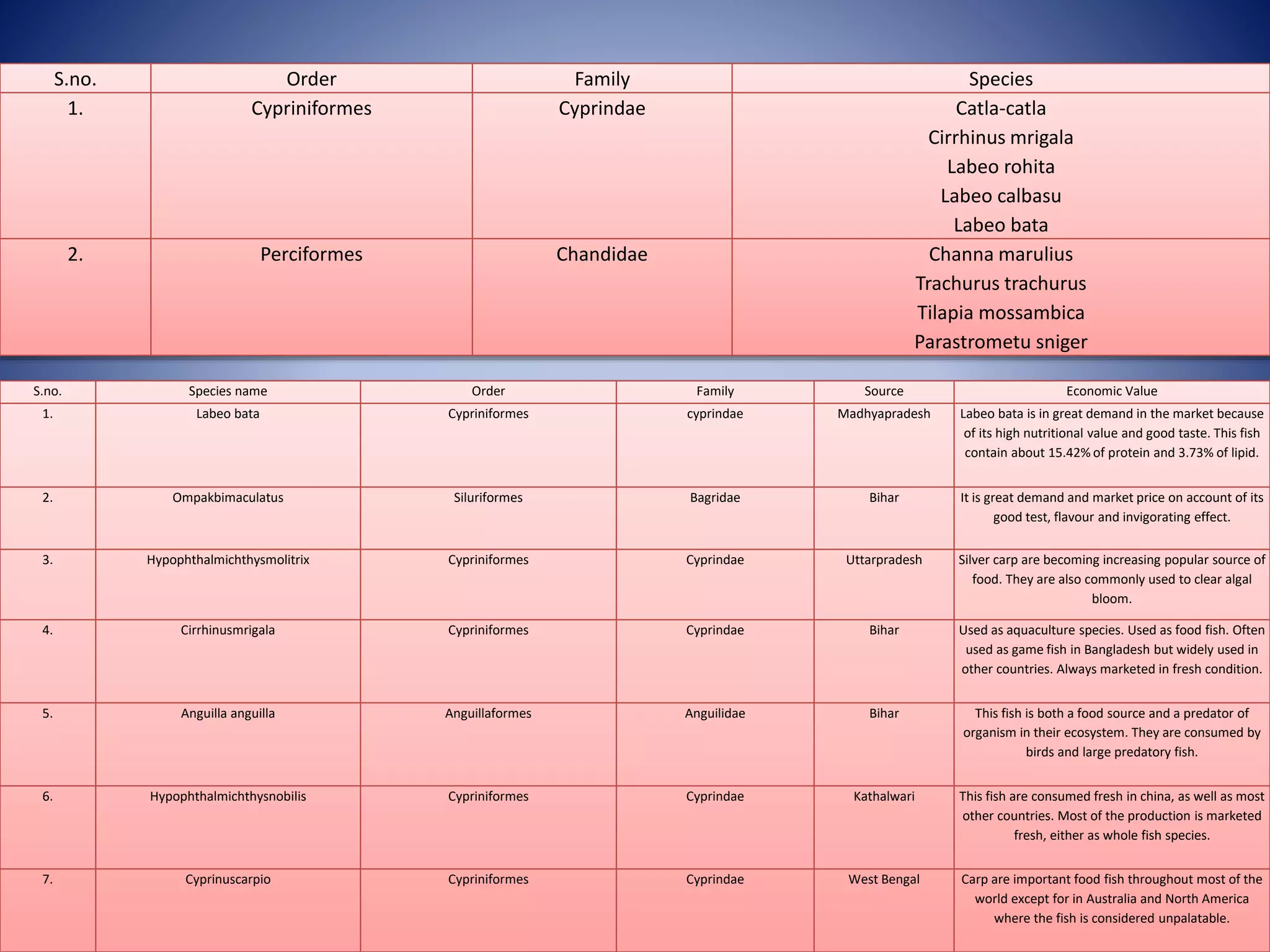 FISH MARKETING CHANNELS | PPT