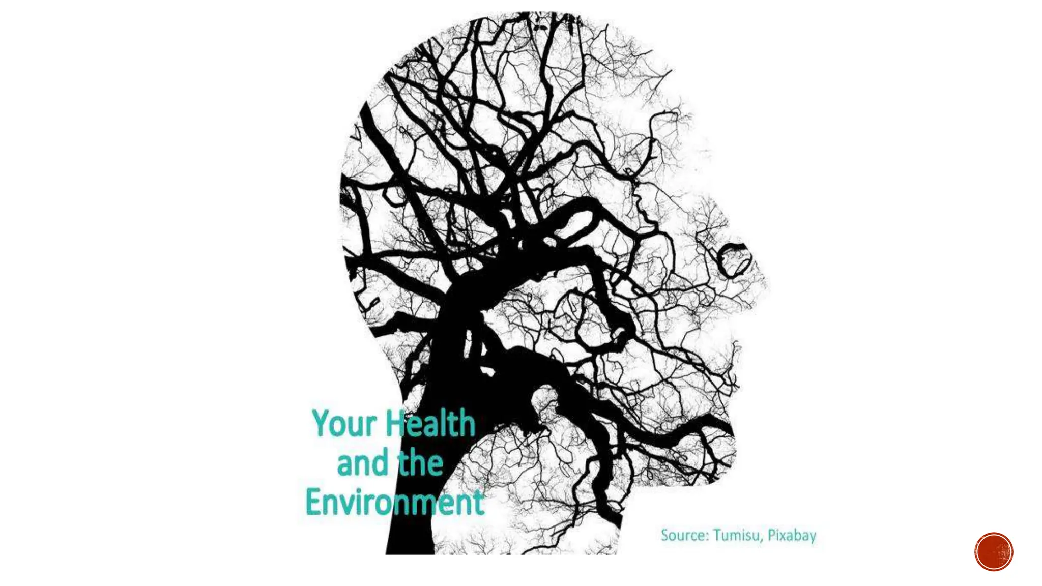 Marketing Environment and market segmentation | PPTX