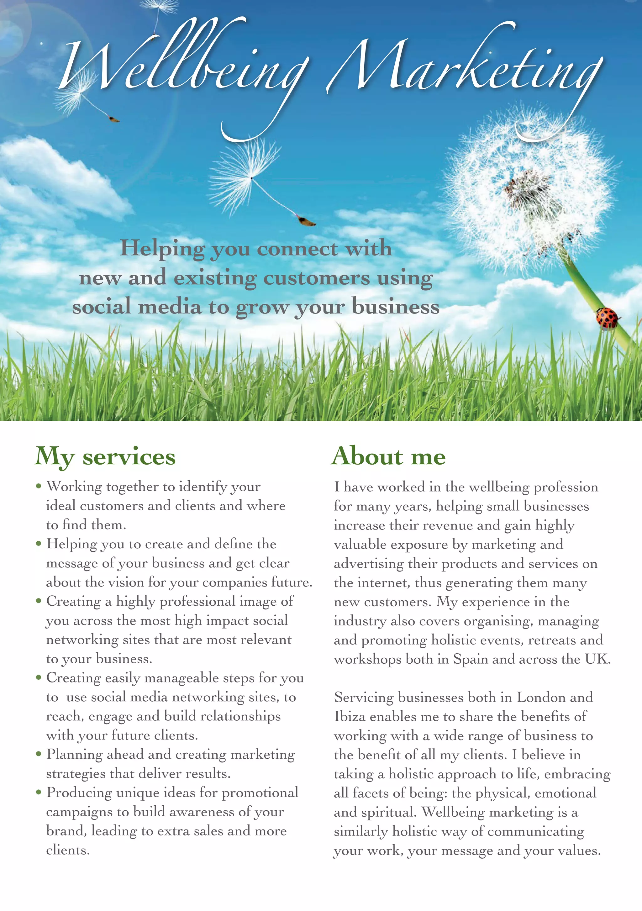 Wellbeing Marketing | PDF