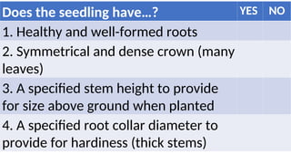 Marketing Fruits and Seedlings. Pptx | PPT
