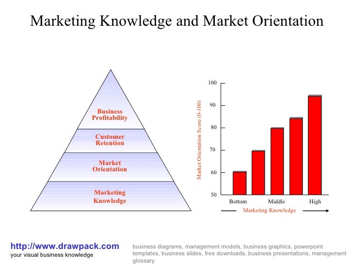 Marketing knowledge and market orientation business diagram