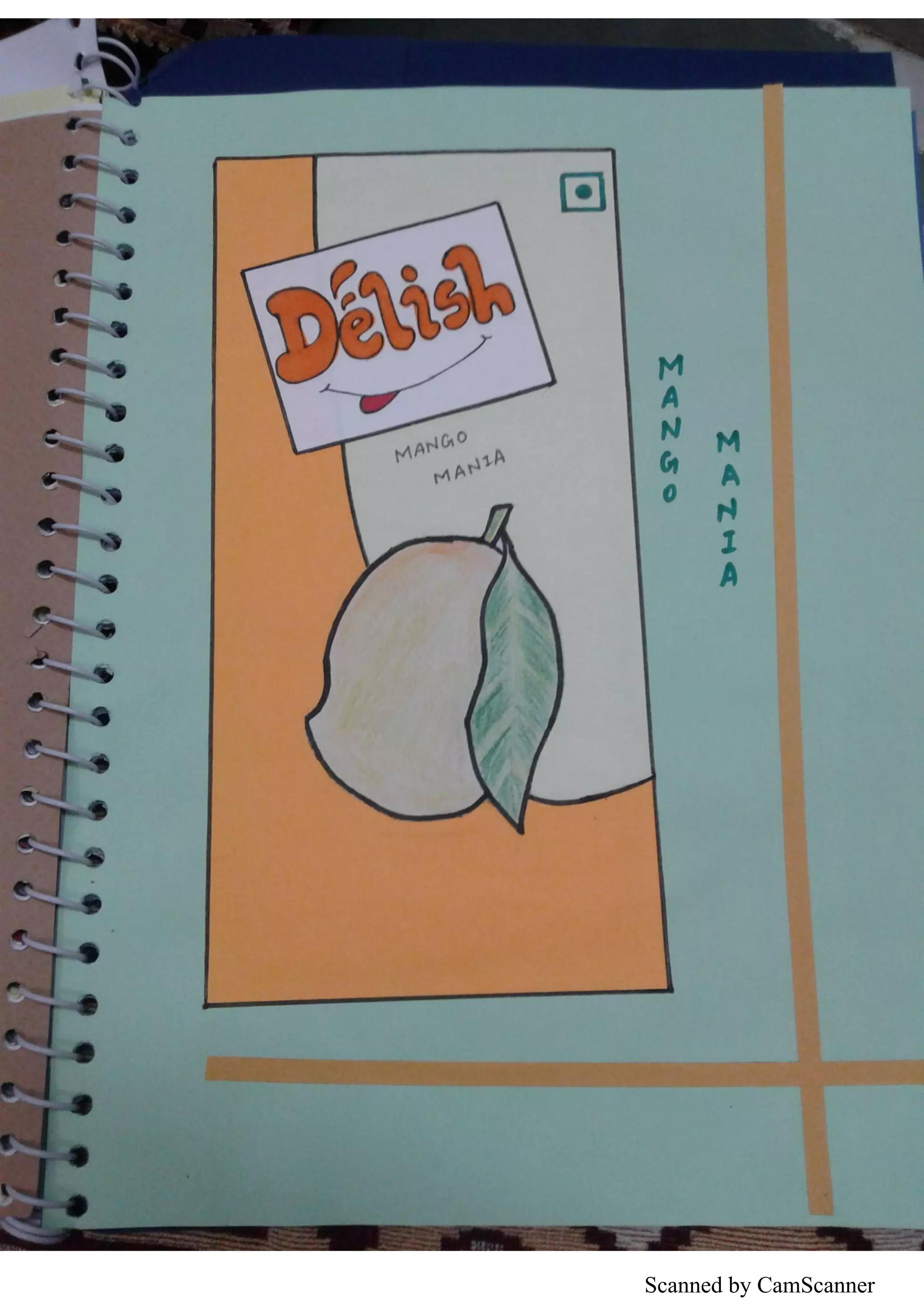 Business Studies Class 12th Marketing management Project- Fruit Juice | PDF