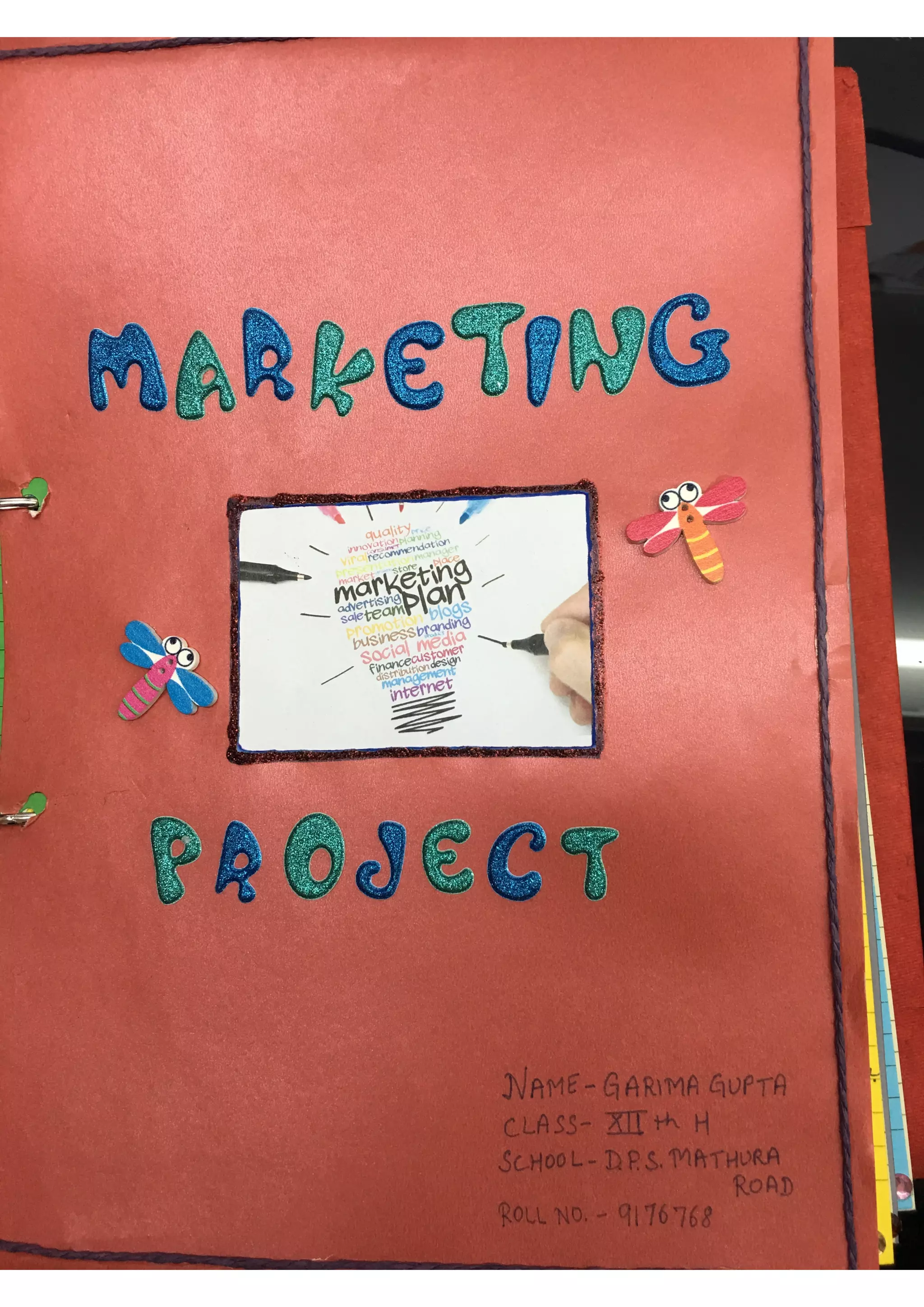 Marketing Project- Class XII (B.St) | PDF