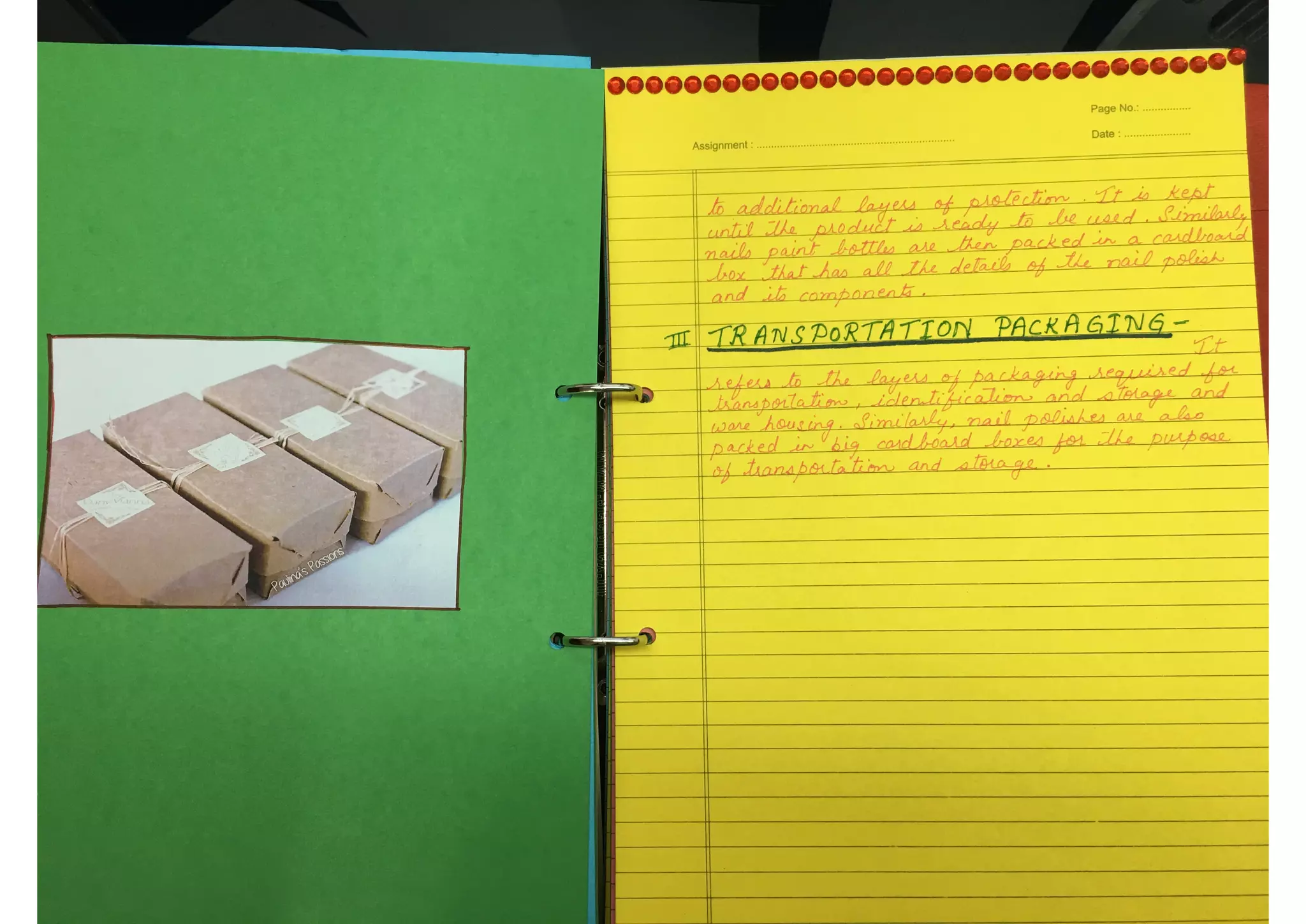 Marketing Project- Class XII (B.St) | PDF