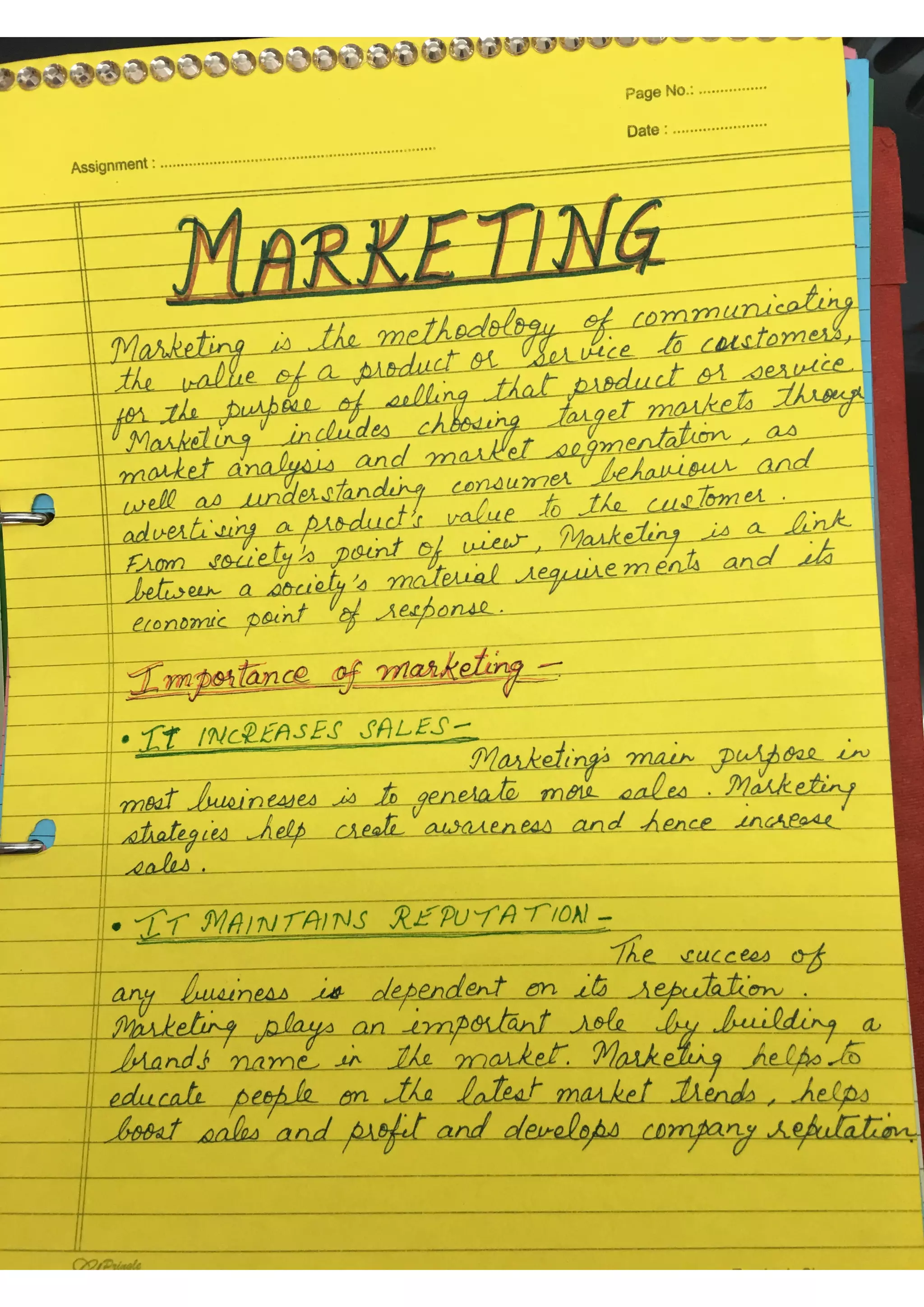 Marketing Project- Class XII (B.St) | PDF