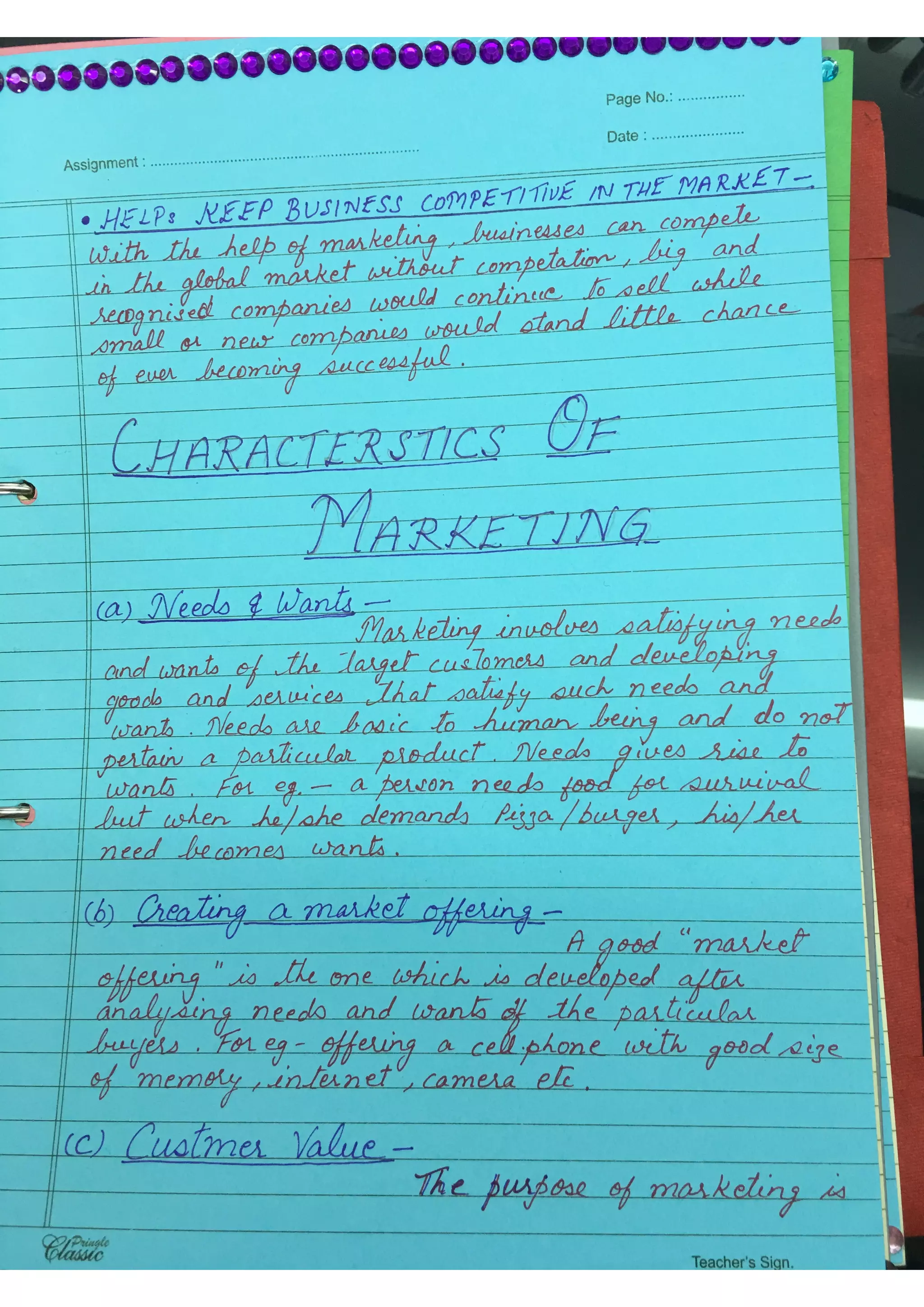 Marketing Project- Class XII (B.St) | PDF