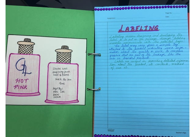 Marketing Project- Class XII (B.St) | PDF