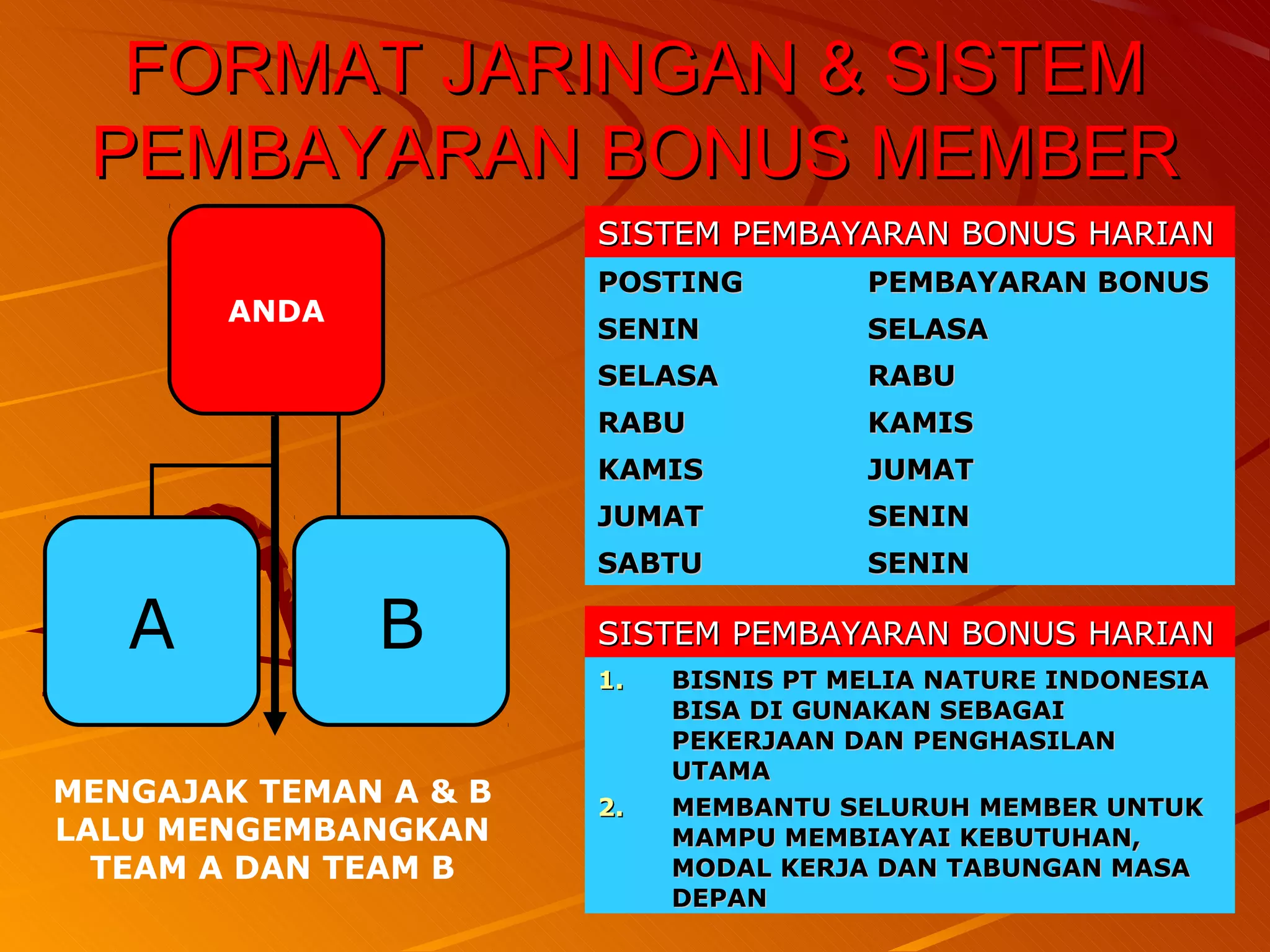 Marketing plan melia nature | PPT