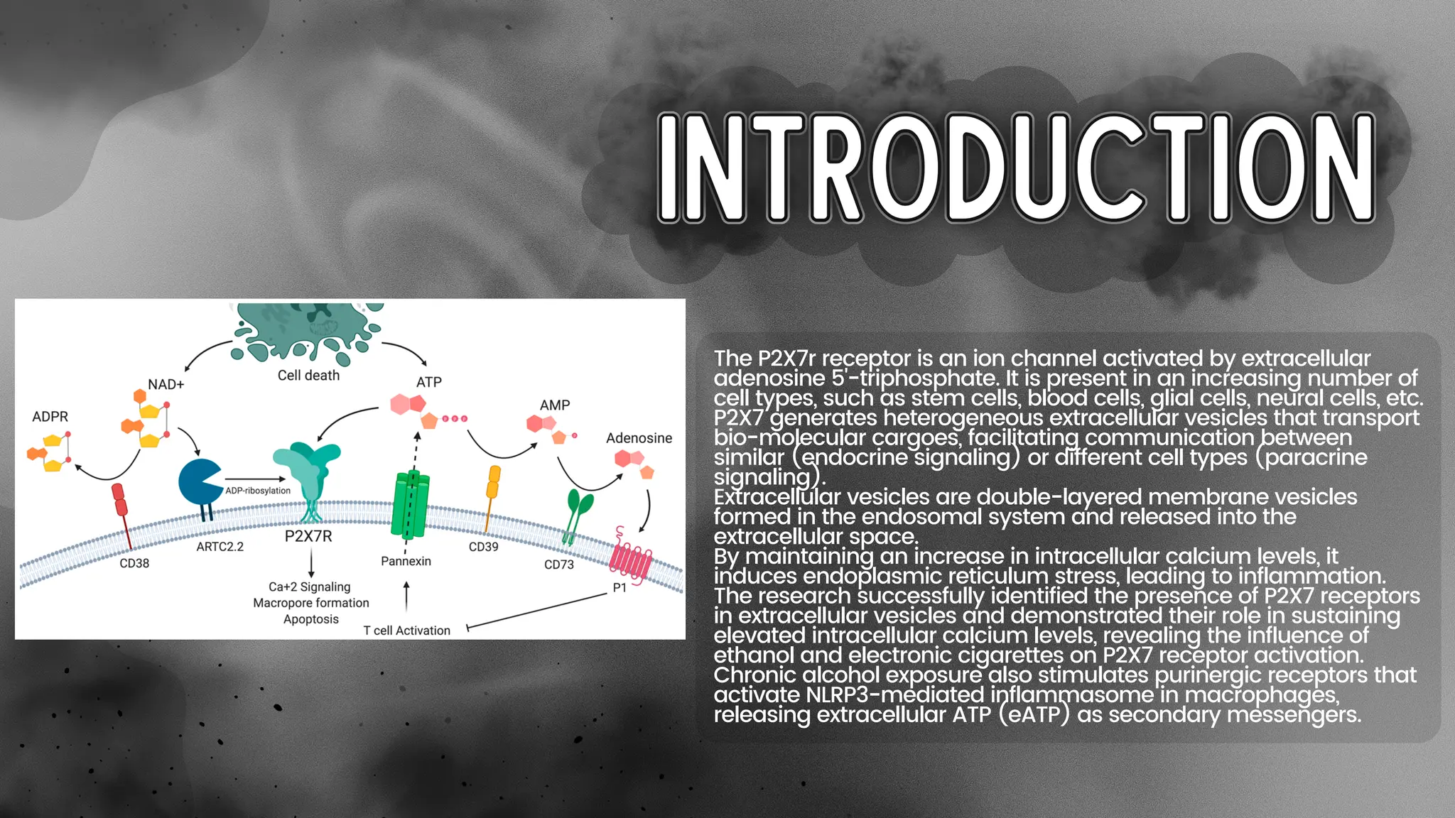 Alcohol and e-cigarette damage alveolar-epithelial barrier by ...