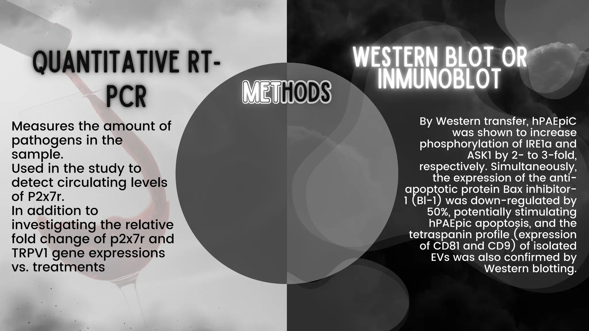 Alcohol and e-cigarette damage alveolar-epithelial barrier by ...