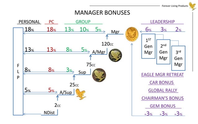 Forever Living Products Marketing Plan | PPTX