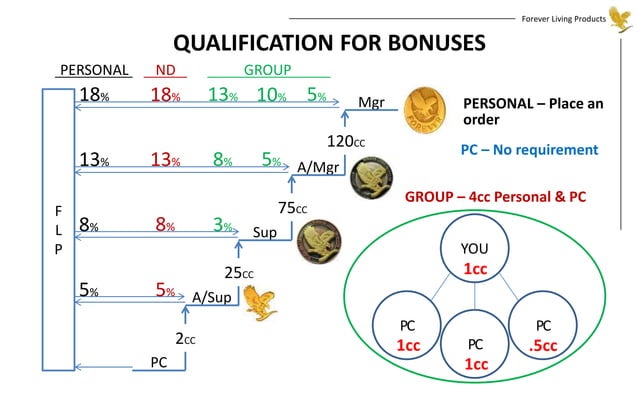 Forever Living Products Marketing Plan | PPTX