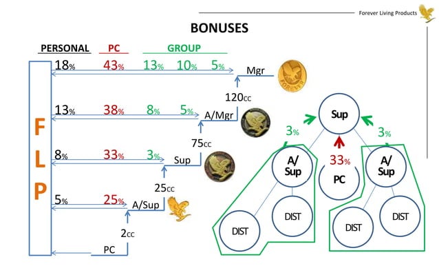 Forever Living Products Marketing Plan | PPT
