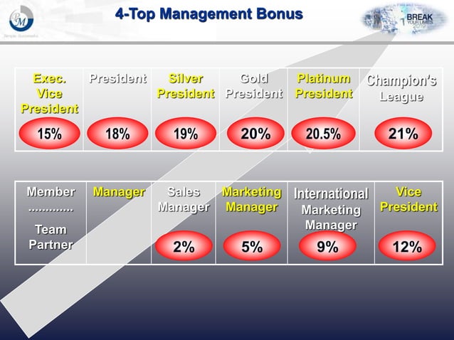Marketing plan India PM International | PPSX | Sales | Business