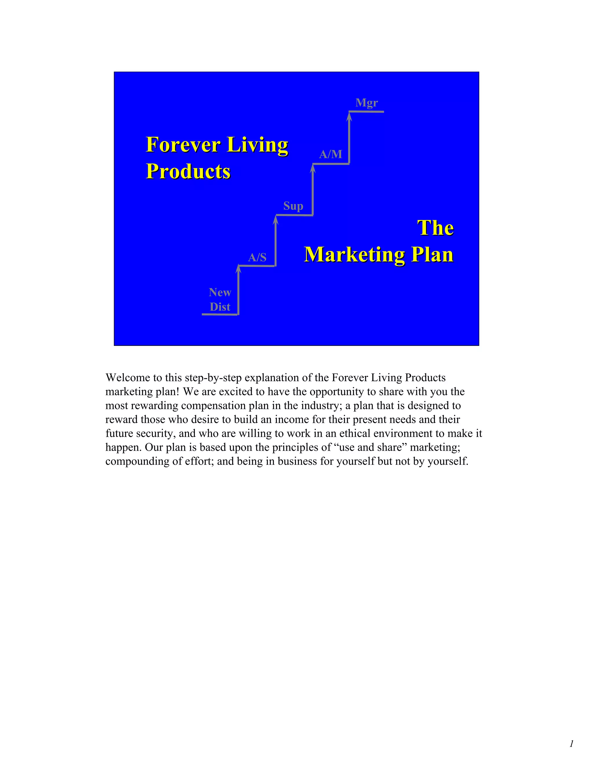 Marketing plan english forever | PDF