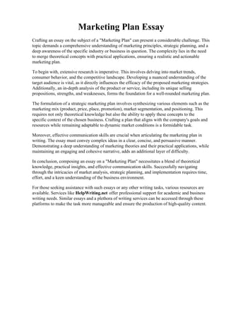 Marketing Plan Essay | PDF