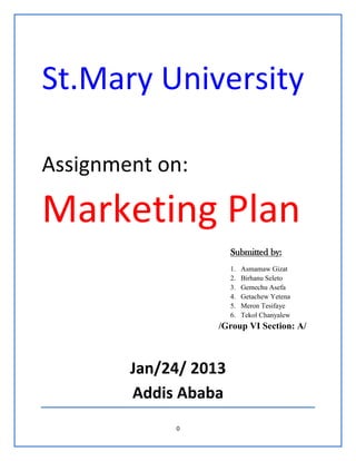 Marketing plan final | PDF
