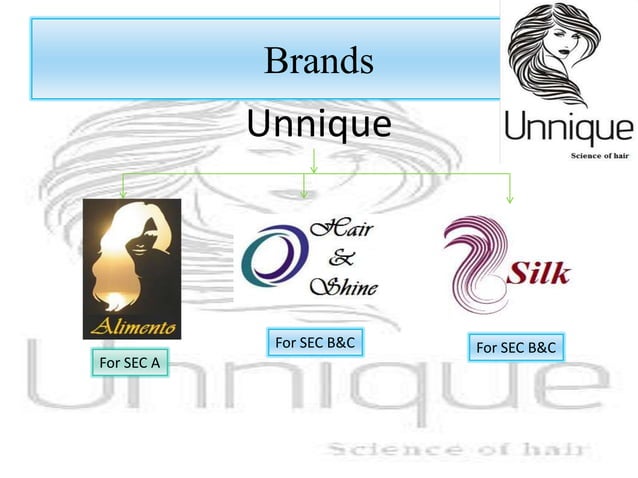 Marketing plan of Shampoo | PPTX