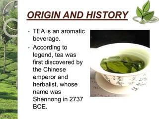 Marketing of tea in India | PPTX