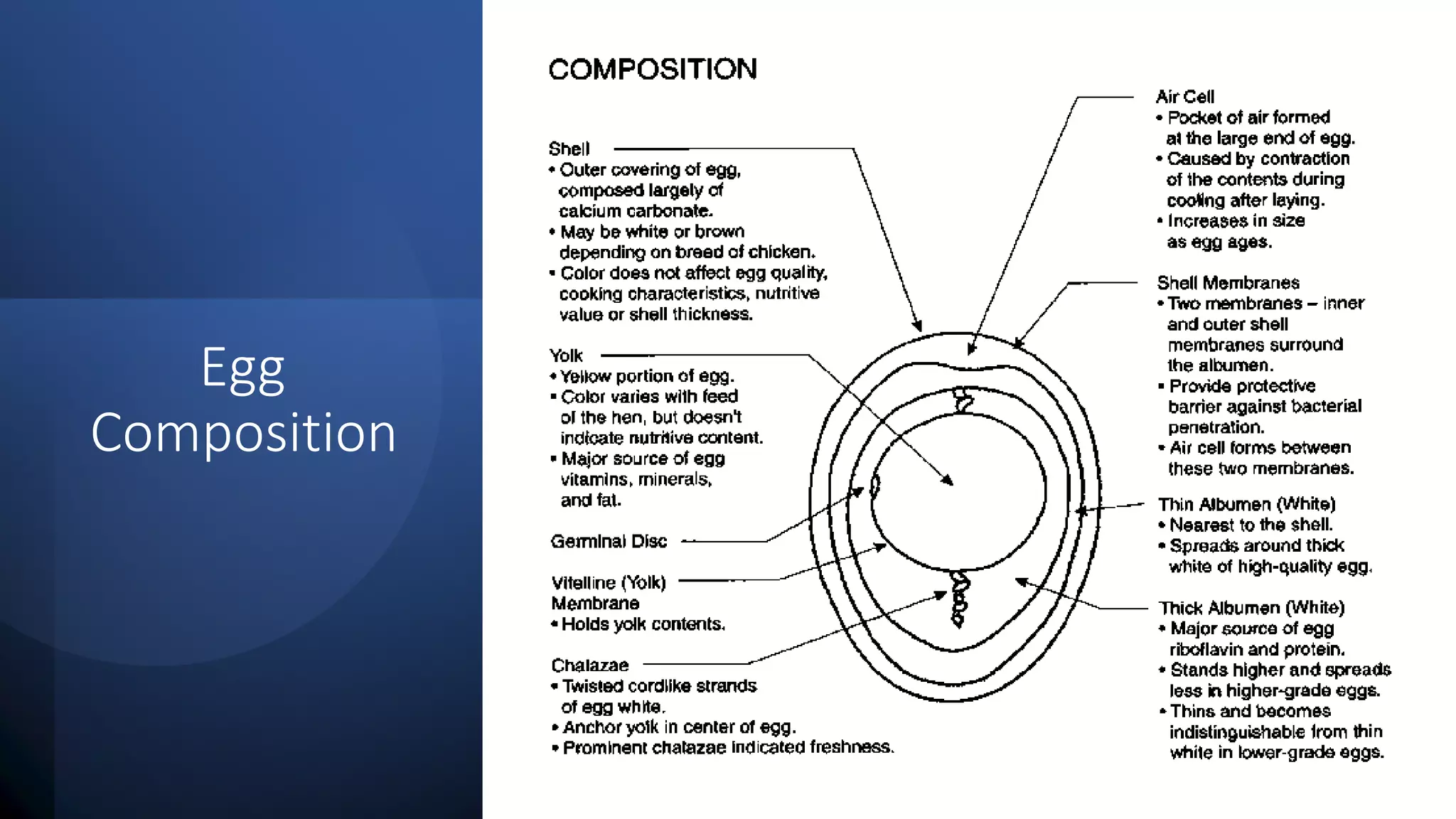 Marketing quality eggs.pptx