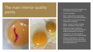 Marketing quality eggs.pptx