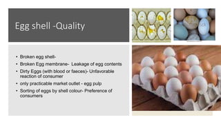 Marketing quality eggs.pptx