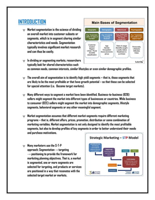CBSE Marketing segmentation project | PDF