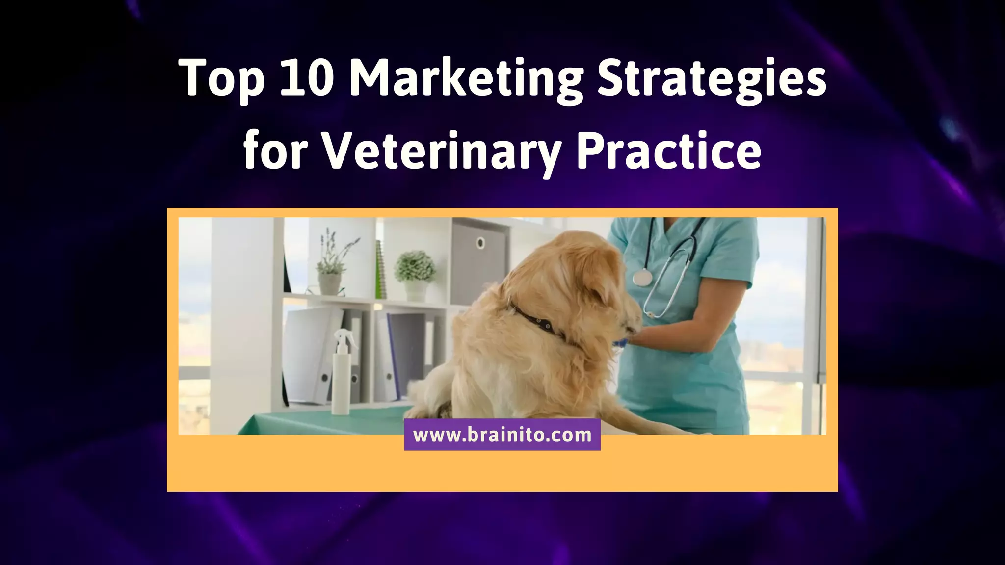 Marketing Strategies for Veterinary Practice.pdf | Free Download