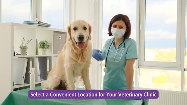 Marketing Strategies for Veterinary Practice.pdf