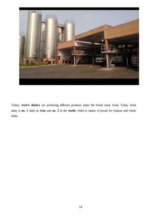 amul. introduction and history | DOCX