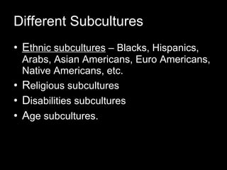 Marketing To Subcultures | PPT