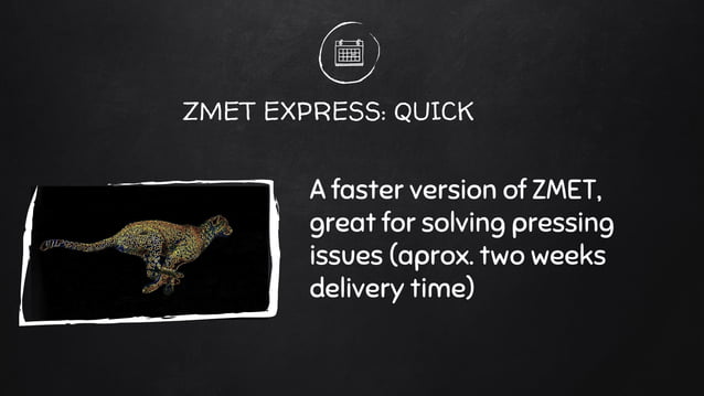 Consumer insights with ZMET Express | PPT
