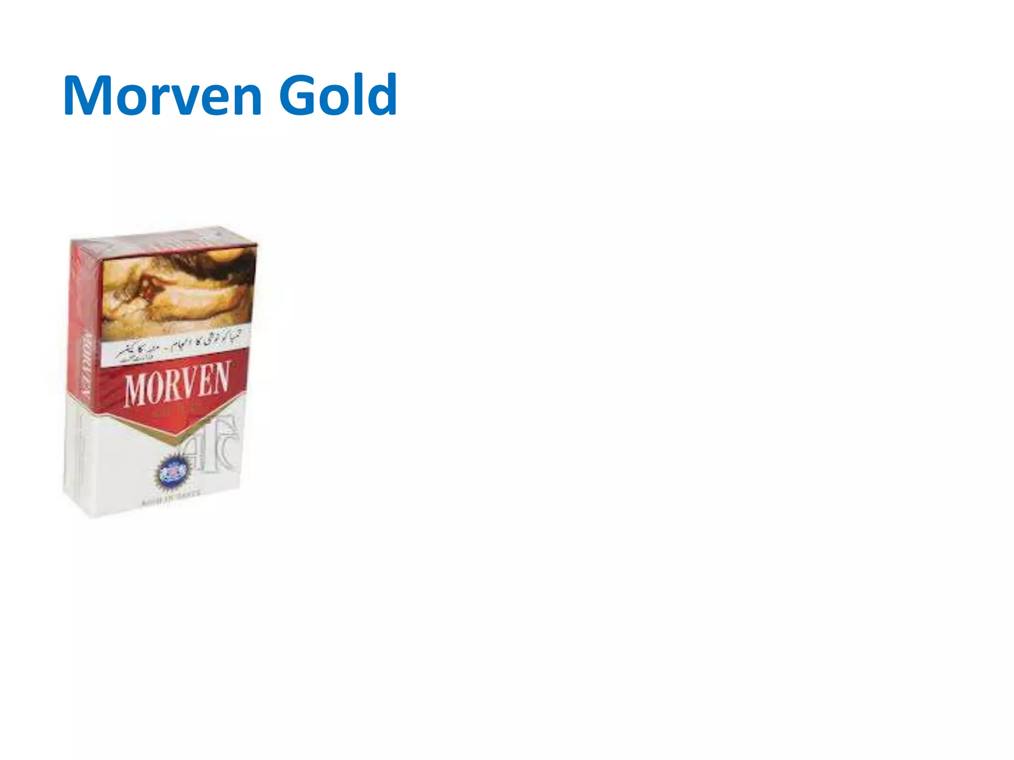 Morven - Brand Management | PPTX