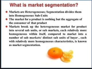 marketsegmentation-mm2-lva1-app6891.pptx