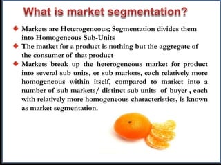 Market Segmentation PPT | PPTX