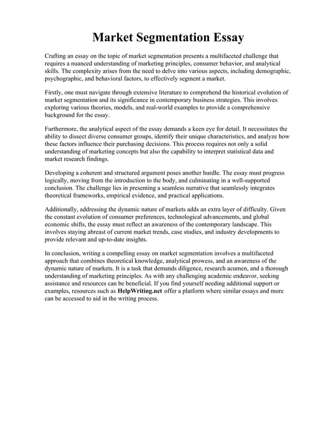 Market Segmentation Essay | PDF