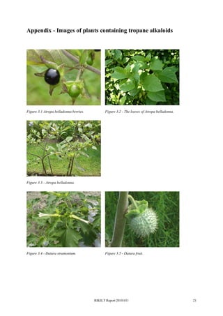 Market segmentation of new chemical | PDF