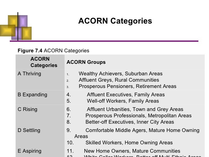 Market Segmentation Stclive