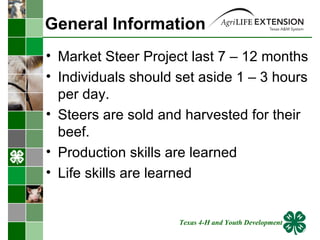 Market Steer Essentials | PPT