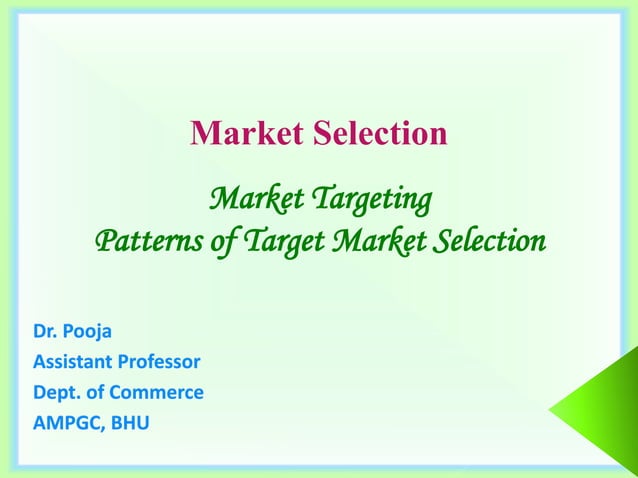 Patterns of Target Market Selection | PPTX