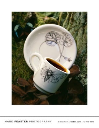 Mark Feaster Photography | PPT