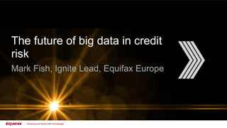 The future of big data in credit risk | PDF