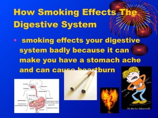 Mark hildebrandt the digestive system slides | PPT