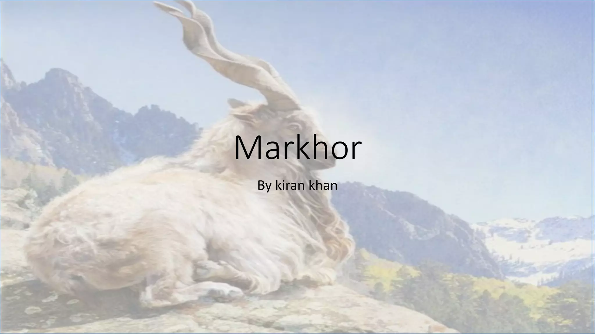 Markhor | PPT