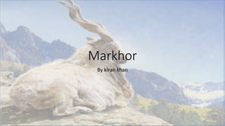 Markhor | PPT